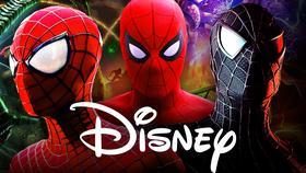 Spider-Man Lotus Cast: Every Actor & Character In Fan Film