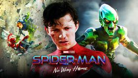 Spider-Man: No Way Home Artist Disappointed That His Scenes Got Cut