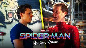 Tobey & Andrew's Extended Spider-Man: No Way Home Scene Released (Description)